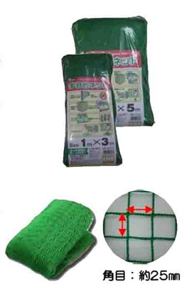 Index of /images/JPPE/